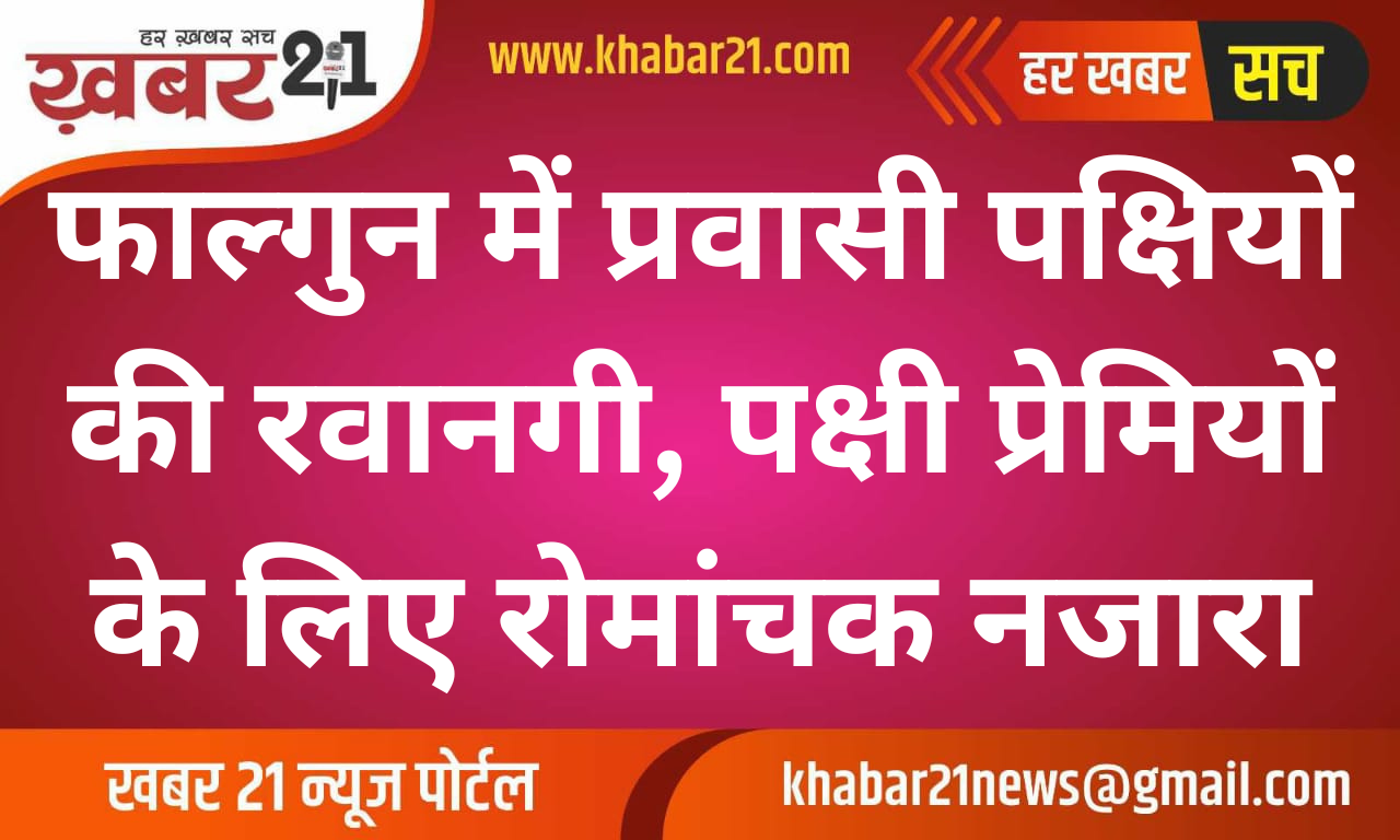 फाल्गुन में प्रवासी पक्षियों की रवानगी, पक्षी प्रेमियों के लिए रोमांचक नजारा – Khabar21