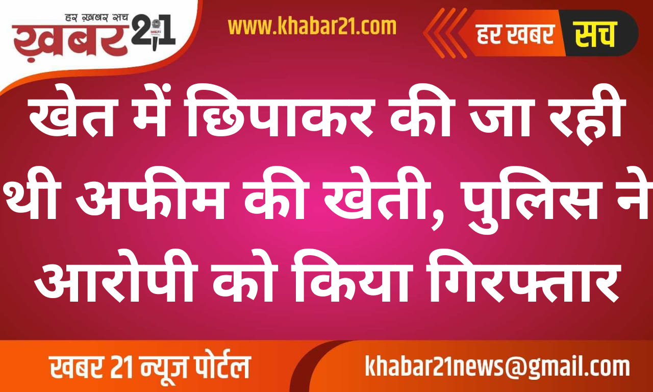 खेत में छिपाकर की जा रही थी अफीम की खेती, पुलिस ने आरोपी को किया गिरफ्तार – Khabar21
